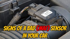 Bad Throttle Position Sensor? Top TPS Failure Symptoms You Shouldn’t ...